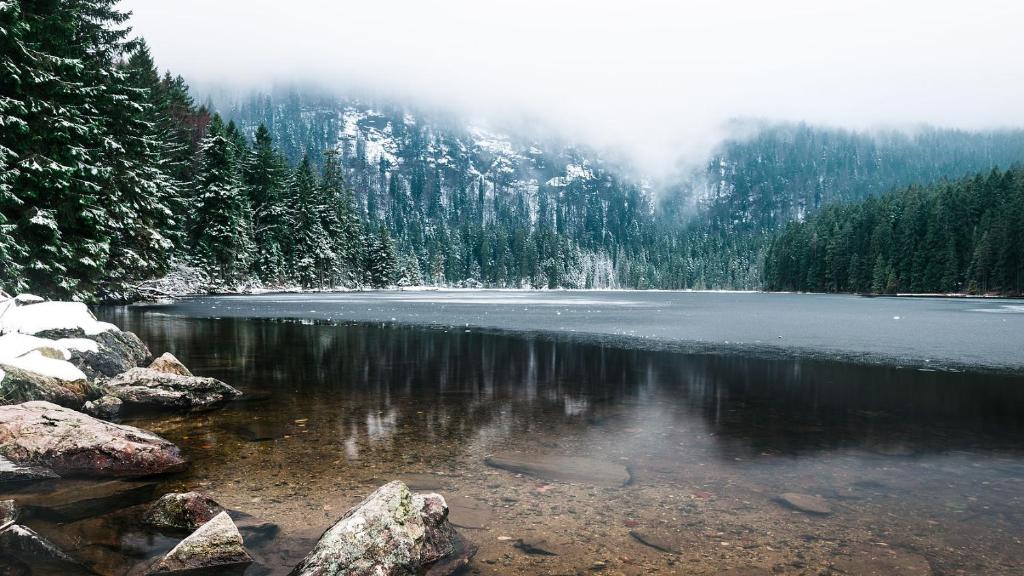 Arber Resort & Wellness Šumava, Železná Ruda (updated prices 2025)