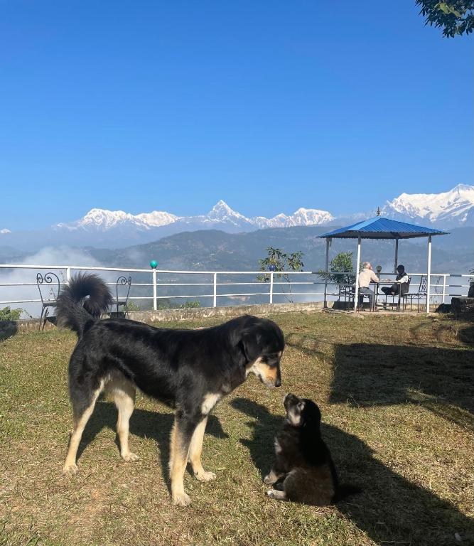 Himalaya Serene View Guest House & Farm Stay, Deorāli – Precios ...