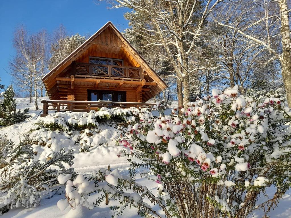 Ezerkalni, Raiskums – Updated 2024 Prices