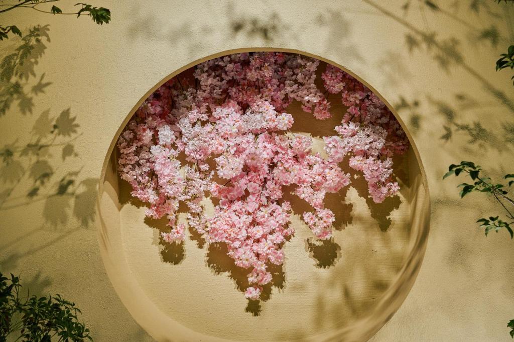 KONJAKUSO Osaka Tengachaya "NIHONCHA" Tea & Relax, Osaka (updated ...