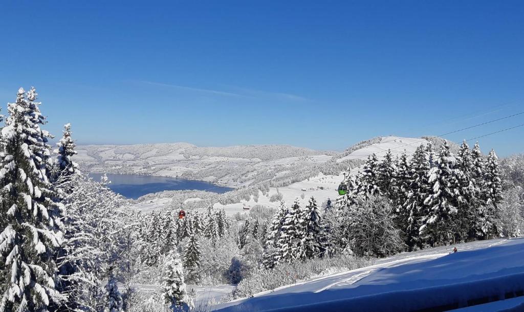 Lion BB Swiss, Zurich (updated prices 2025)