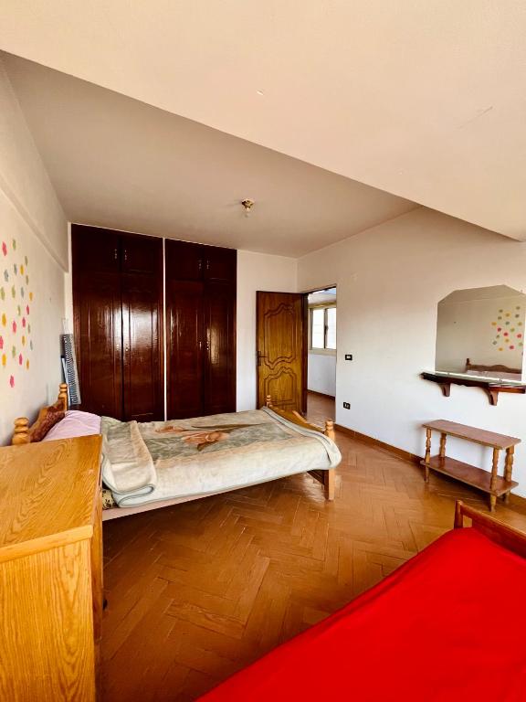 Sunny peaceful room at the center of Cairo, Il Cairo (prezzi aggiornati ...