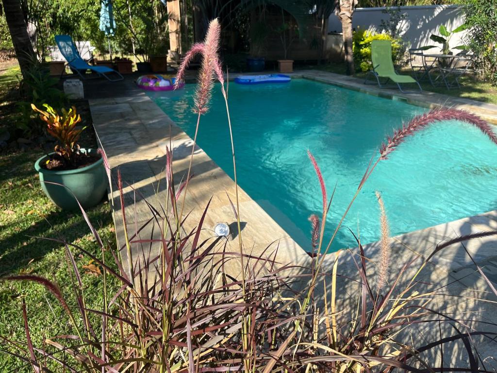 Espace Détente des Calumets, Saint-Paul (aktualisierte Preise für 2025)