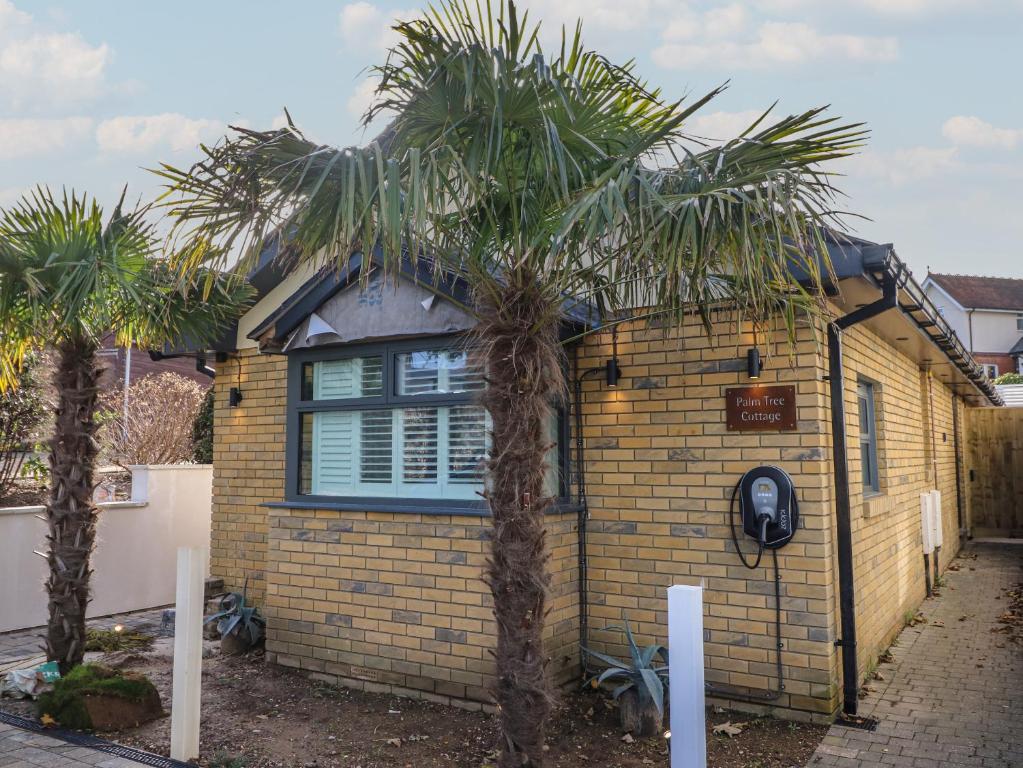 Palm Tree Cottage, Sandown (updated prices 2025)