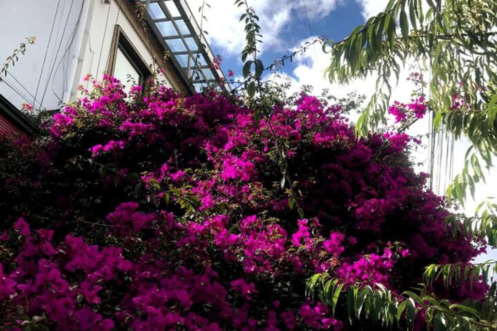 Anastasio Gutman House, Bogotá (updated prices 2025)