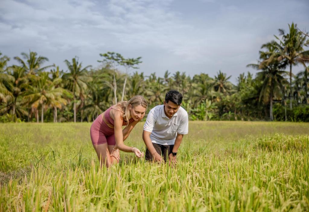 The Sankara Resort by Pramana, Ubud (updated prices 2025)