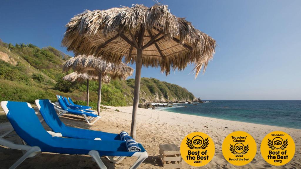 Manta Raya Hotel - right on the beach, Cuatunalco (precios actualizados ...