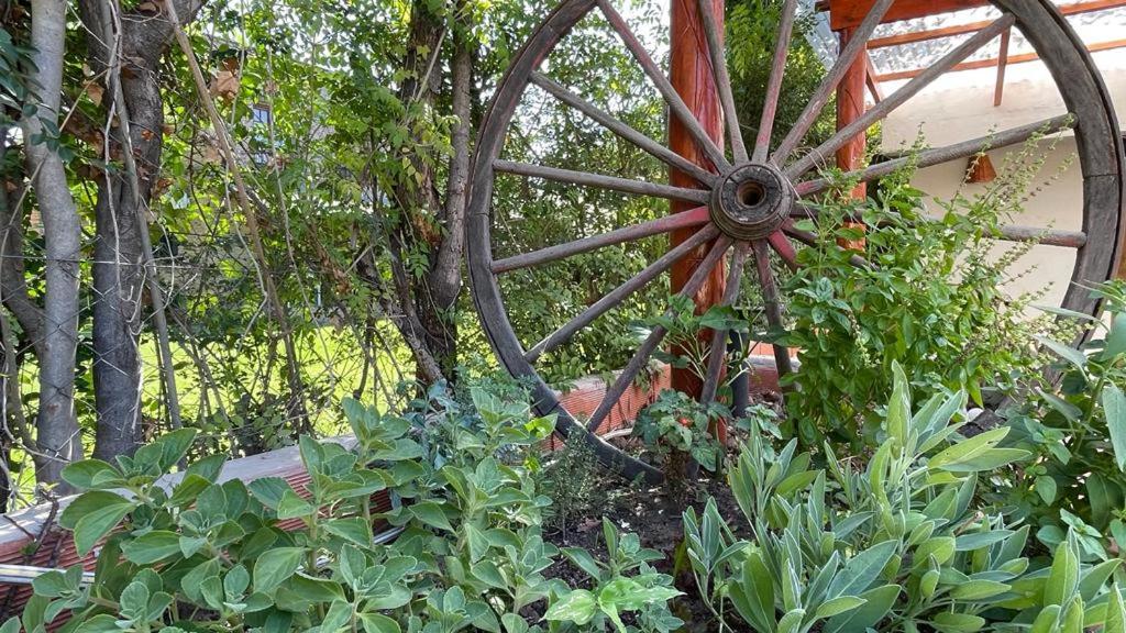 El Cuento de Mansilla, Manuel Alberti (updated prices 2025)