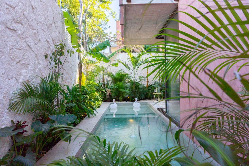 Entorno Tulum - Luxury Villas, Tulum (updated prices 2025)