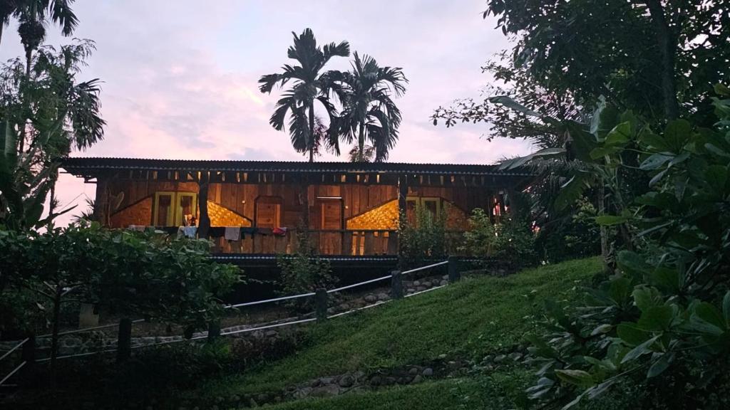 Mega Inn view, Tangkahan, Indonesia - Booking.com