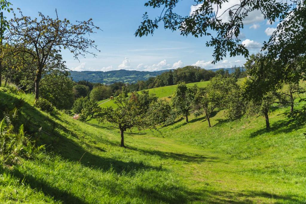 Grünewaldhof in Rimbach im Odenwald, Rimbach (updated prices 2026)
