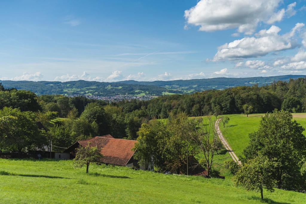 Grünewaldhof in Rimbach im Odenwald, Rimbach (updated prices 2025)