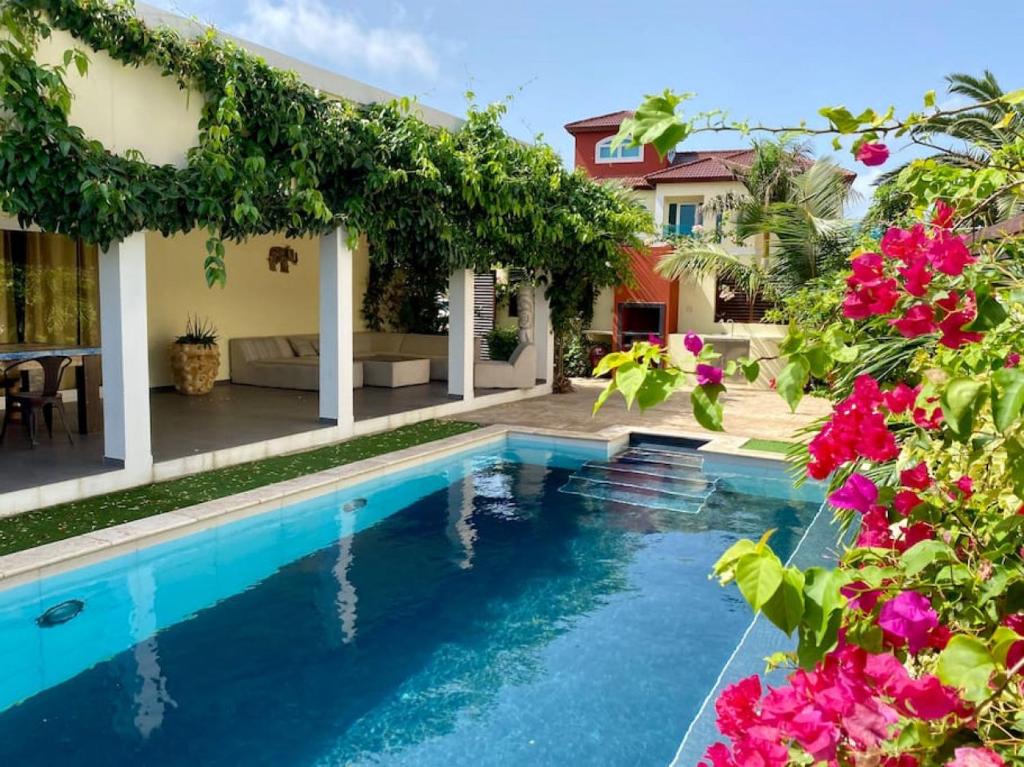 Modern 4BR Villa with Private Pool walk to Palm Beach, Eagle Beach ...