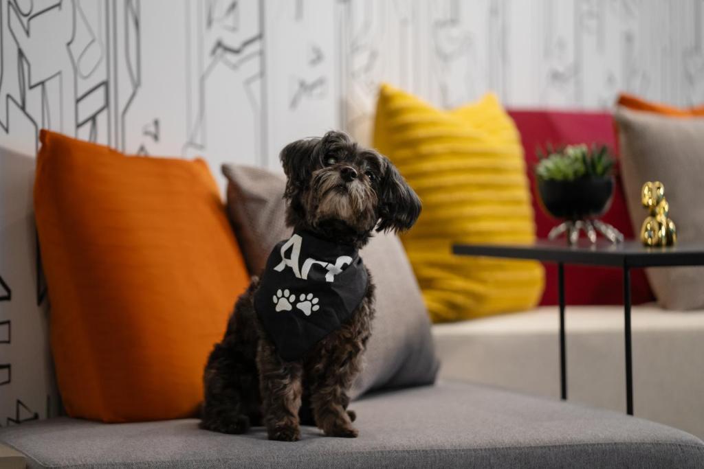 Aloft New York Chelsea, New York (updated prices 2025)