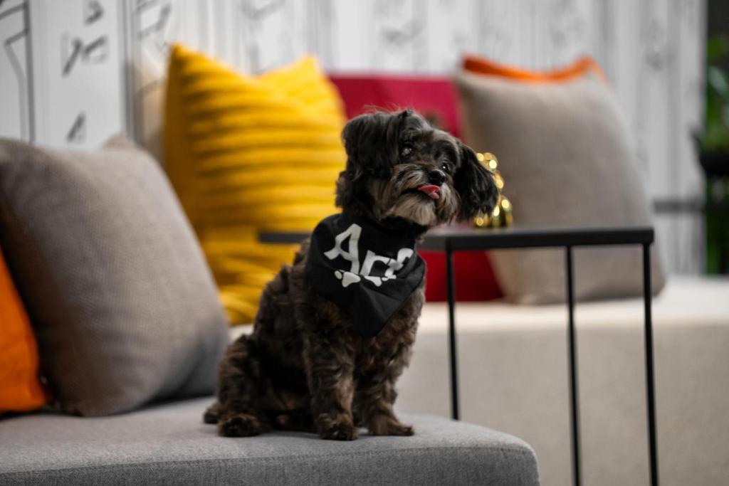 Aloft New York Chelsea, New York (updated prices 2025)