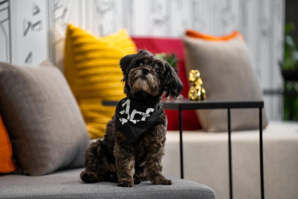 Aloft New York Chelsea, New York (updated prices 2025)