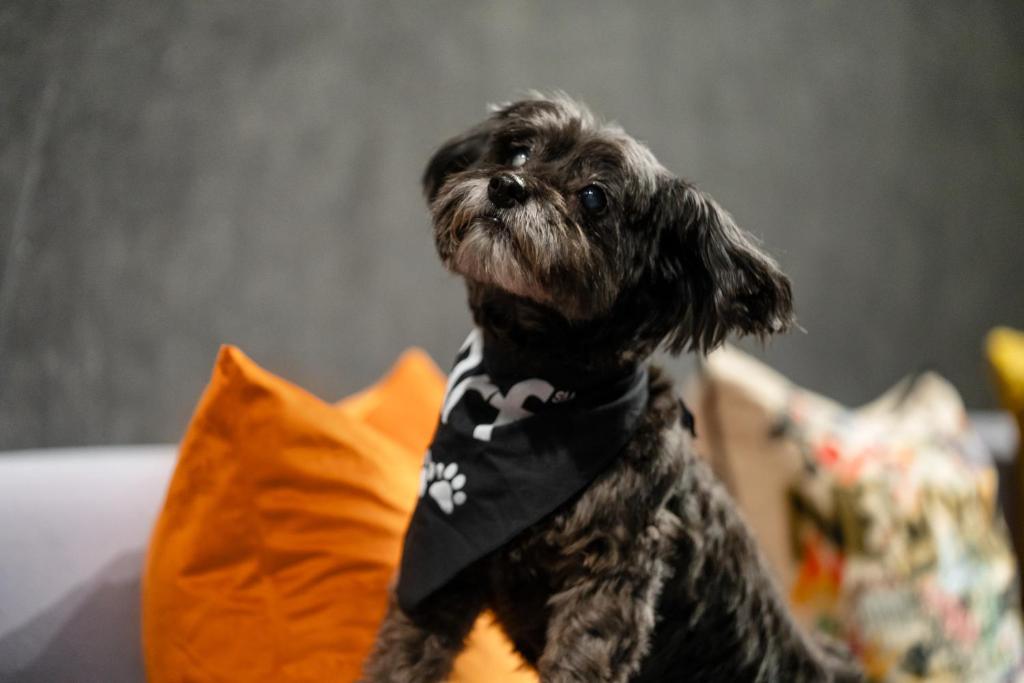 Aloft New York Chelsea, New York (updated prices 2025)