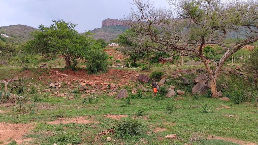 Buyanie campsite, Umgeni Dam (updated prices 2025)