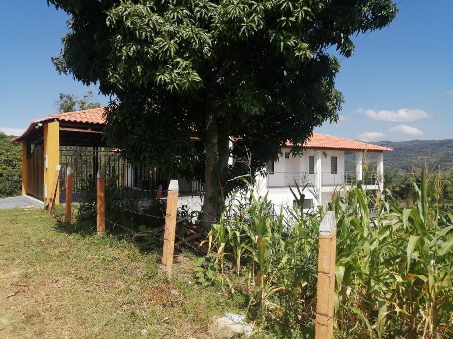 Vista Club View, Florián (aktualisierte Preise für 2025)