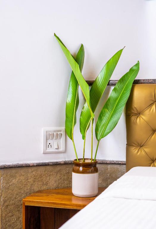 ama Stays & Trails Eden Farms Sapphire, Goa, Goa (updated prices 2025)