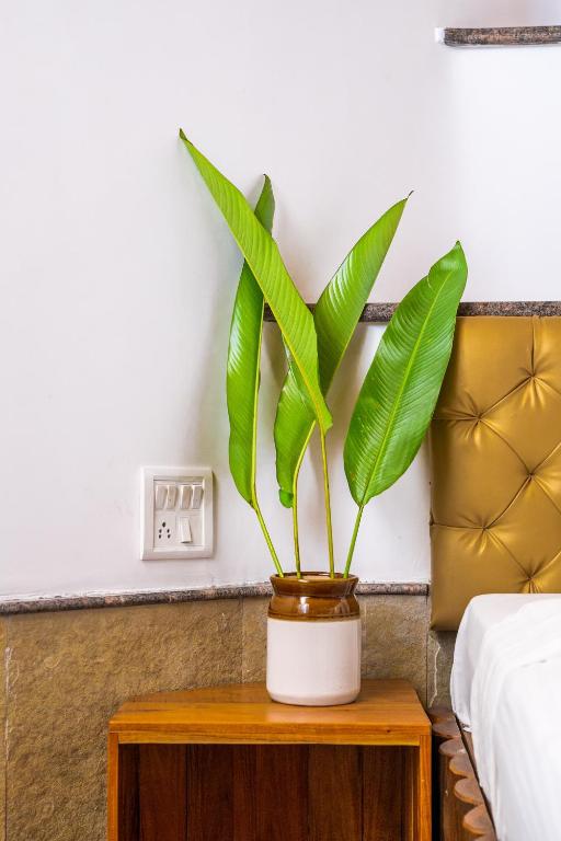 ama Stays & Trails Eden Farms Sapphire, Goa, Goa (updated prices 2025)