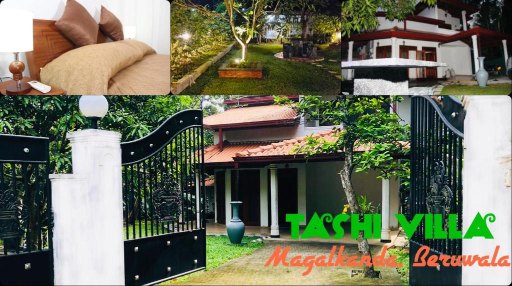 tashivilla, Maggona (updated prices 2025)