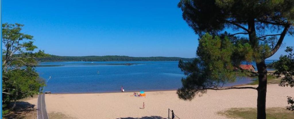 Vacances dans un mobil home climatisé dans les landes entre forêt, lacs ...