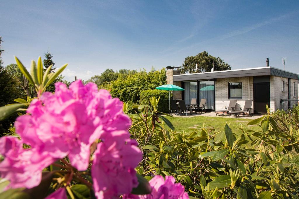 Nordseeferienhaus Tossens I, Butjadingen (updated prices 2025)