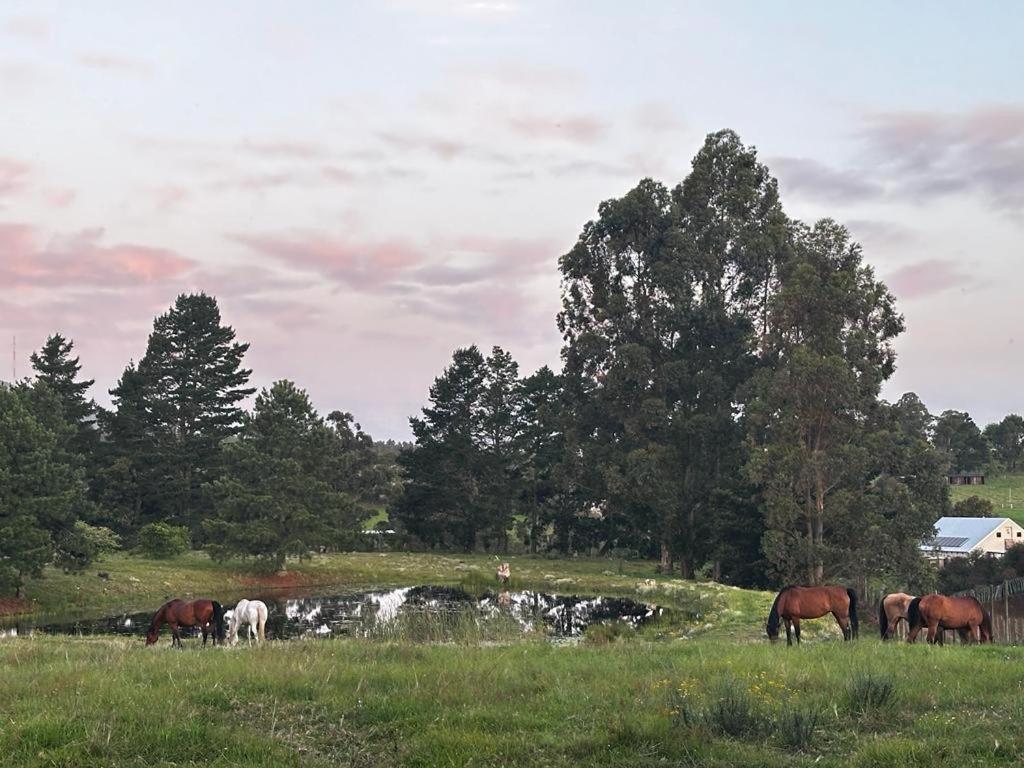Stunning open-plan farmhouse with magic views, George (updated prices 2026)