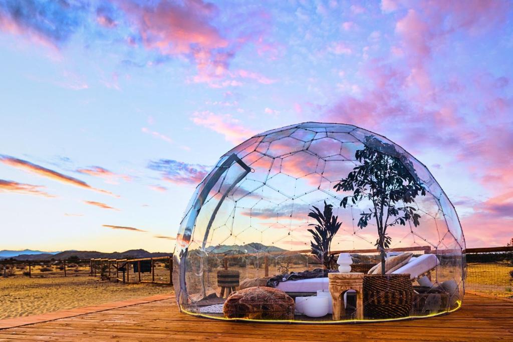 Spa Home Hot Tub - Sauna - Cinema, Joshua Tree (updated prices 2025)