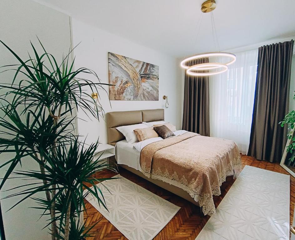 Slavija Square, Belgrad – Aktualisierte Preise für 2024