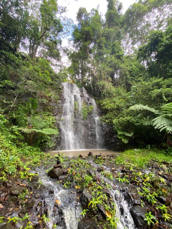 Nimbin waterfall retreat, Nimbin (updated prices 2026)
