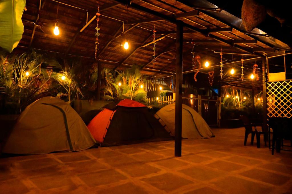 Dandeli Resorts Booking, Dandeli (updated prices 2025)