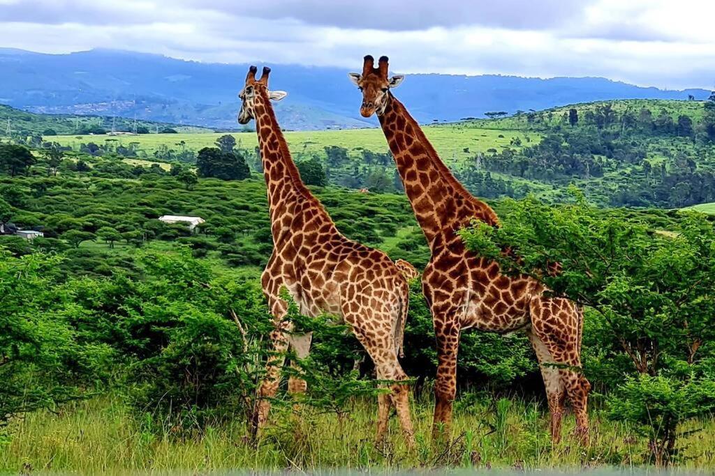 Rocky Valley Game Lodge, Cleland (updated prices 2026)