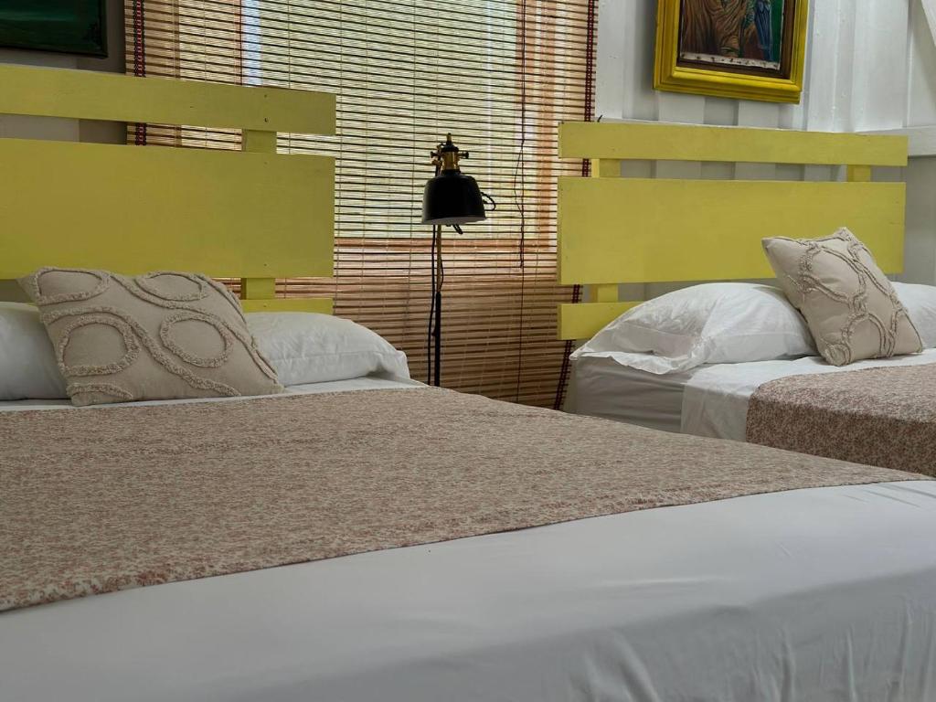 Caribbean Flow, Puerto Viejo – Updated 2024 Prices