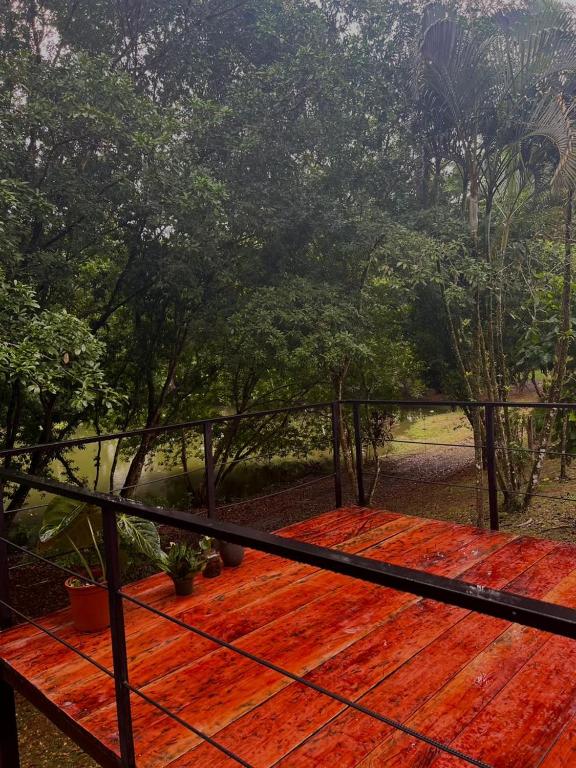 Ficus house, Boca Tapada (updated prices 2025)