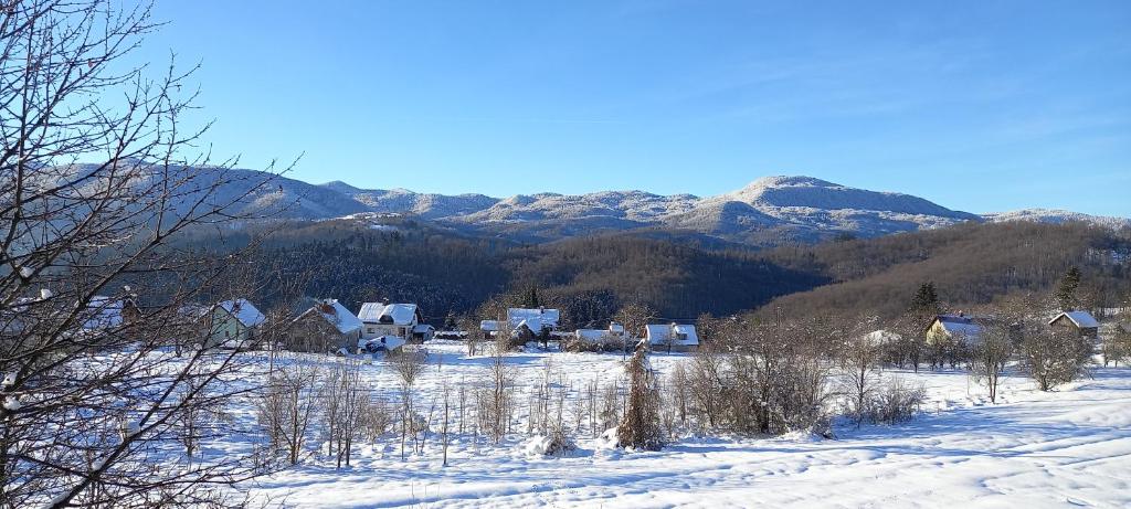 Apartment ROKO with sauna & view, Brod Moravice (updated prices 2025)