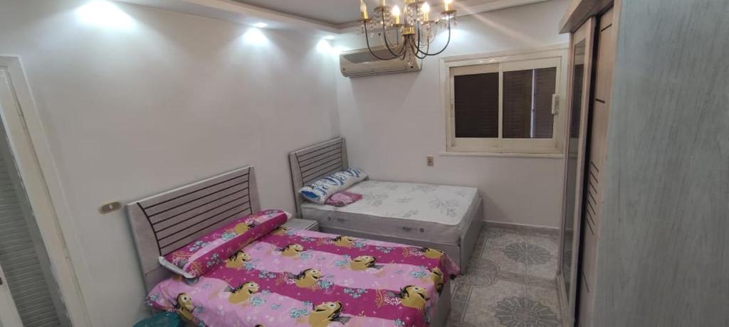 Degla, Cairo (updated prices 2024)