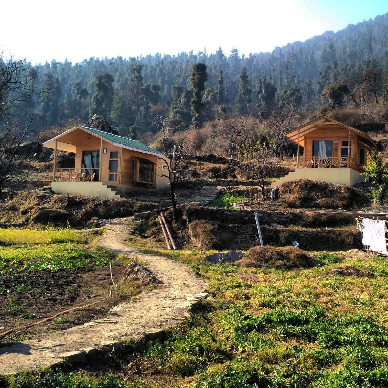 The Goat Village, Dayara Bugyal, Bhatwāri – Updated 2024 Prices