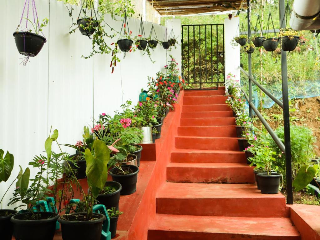 Munnar Valley View, Munnar (updated prices 2025)