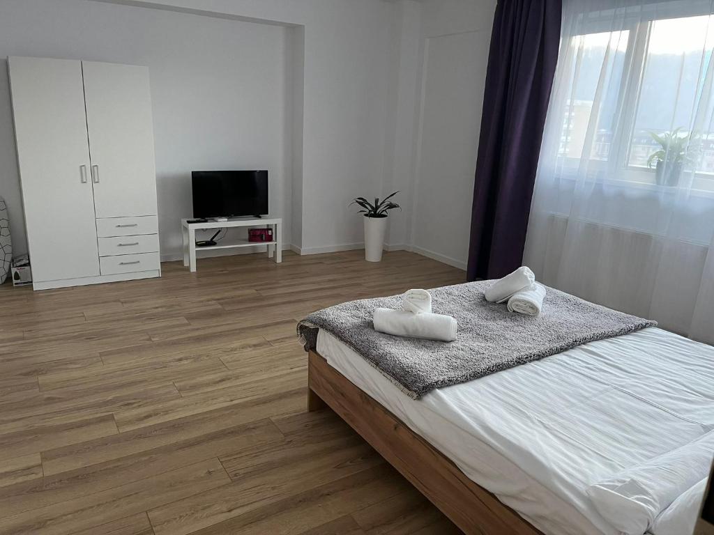 Dream Studio Brasov, Braşov (updated prices 2024)