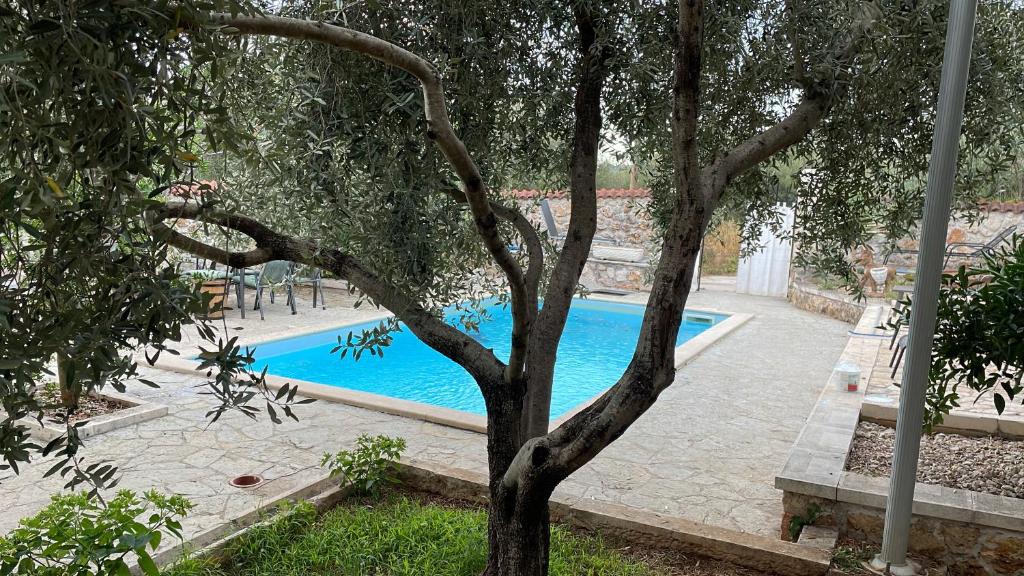 Robinzon house Bongo with pool and jacuzzi, Ždrelac (updated prices 2024)