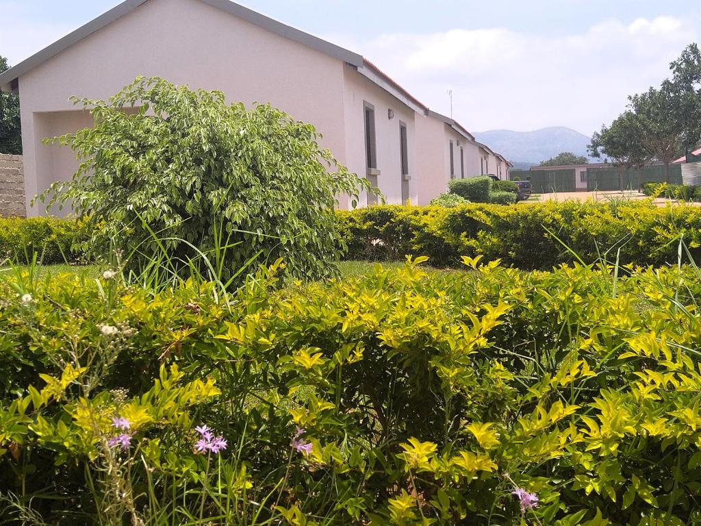 Thomsons Lodge, Polokwane (updated prices 2025)