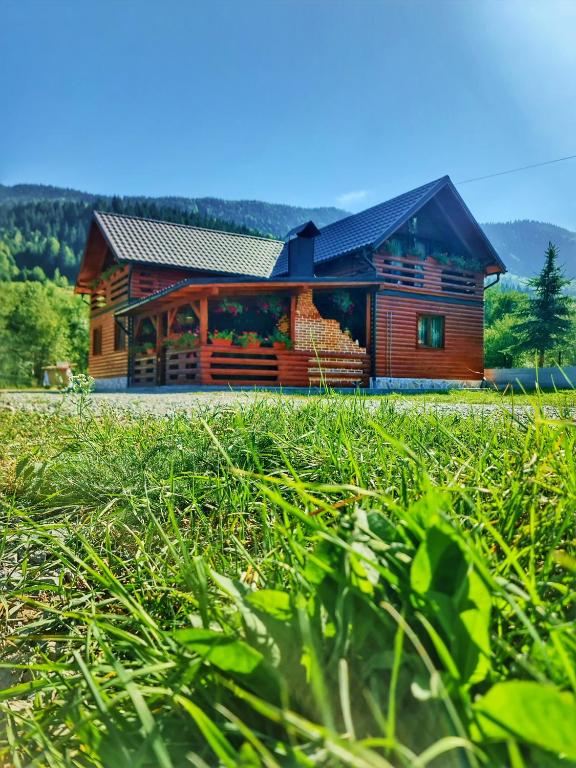 Cabana Dintre Munti, Vidra (updated prices 2026)