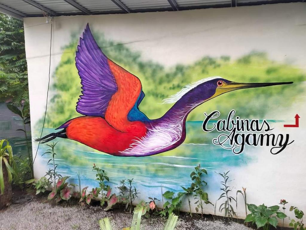 Cabinas Agamy, Tortuguero (updated prices 2026)