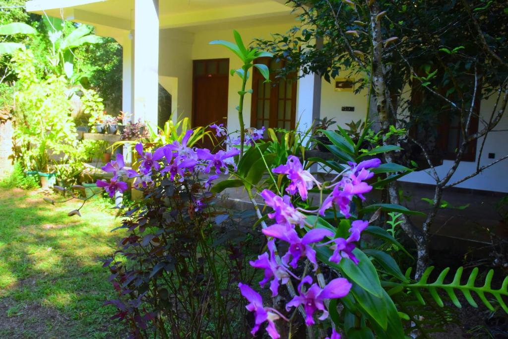 Aramba Safari Resort, Udawalawe (updated prices 2025)