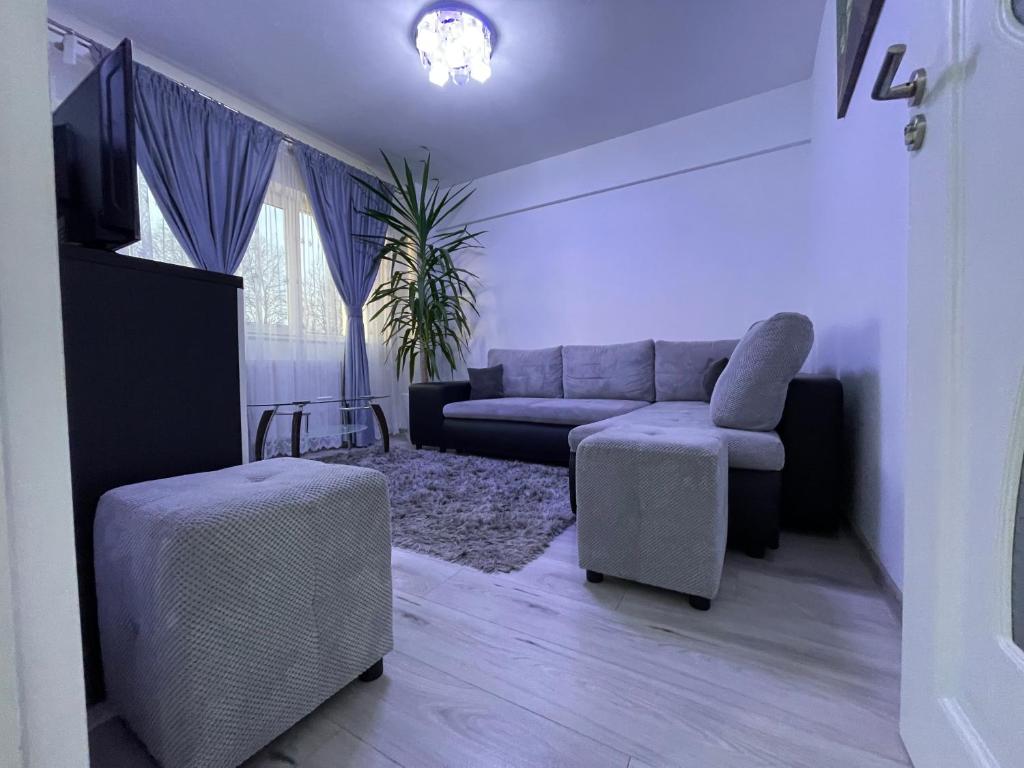 Traveler’s Luxury Home, Suceava (updated prices 2025)