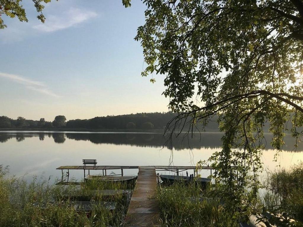 Seeblick mit Ruderboot - ABC280, Neukloster (updated prices 2025)