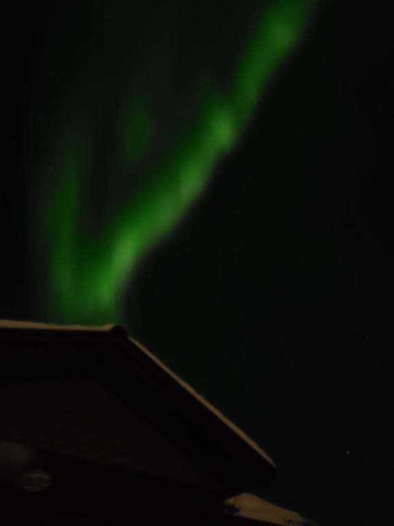 Arctic Sealodge Malangen cabin 4 Sæterbergan, Sørelvmo (updated prices ...