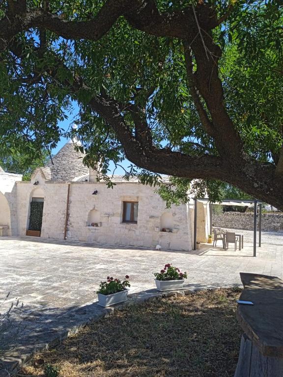 Trulli della Catena, Martina Franca (updated prices 2026)